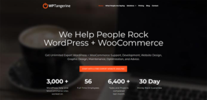 22 Best WordPress Maintenance and Support Services